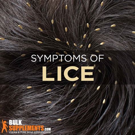 Louse Bites