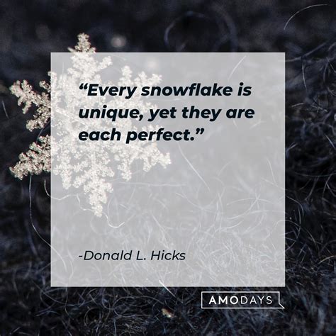 57 Snowflake Quotes That Speak Of Beauty Wisdom And Originality