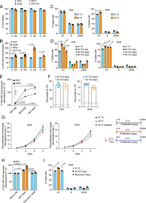 Figures And Data In Hsf1 And The Molecular Chaperone Hsp90 Support A