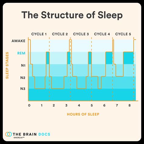 Sleep Structure New Infographics Help You Share Aasm Sleep Duration