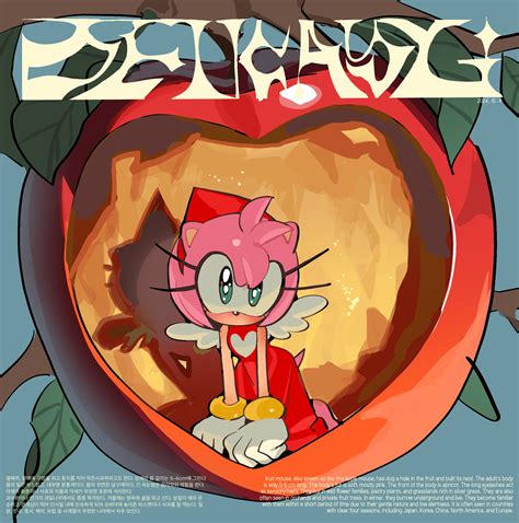 Kosherea Amy Rose Sonic Series Sonic X Absurdres Highres 1girl