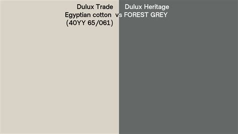 Dulux Trade Egyptian Cotton 40YY 65 061 Vs Dulux Heritage FOREST GREY Side By Side Comparison