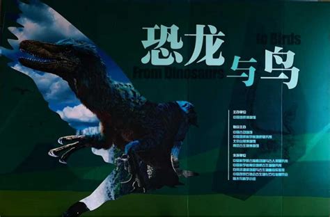 《恐龙与鸟》专题展开幕中国科技文化场馆联合体