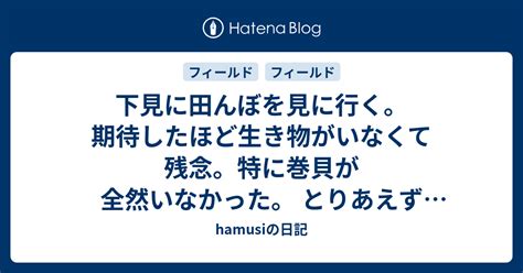 Hamusi