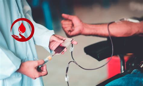 Quem Doa Sangue Tem Direito à Folga Tire Dúvidas