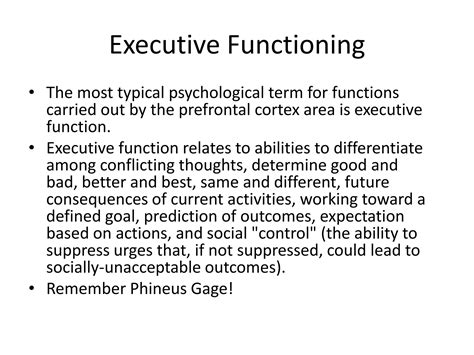 The Prefrontal Cortex Pptx