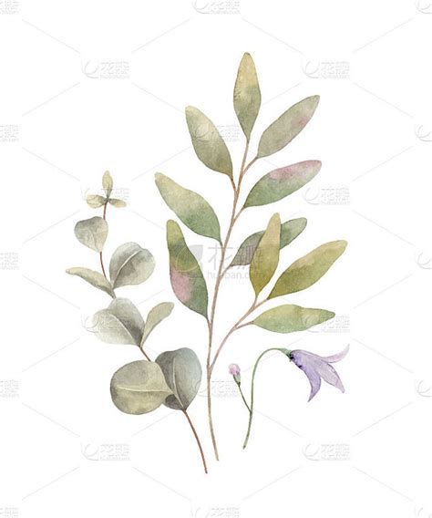 水彩矢量花束与野花和叶子孤立在白色的背景。手绘插画海报，墙壁艺术装饰，贺卡，婚礼请柬和更多。