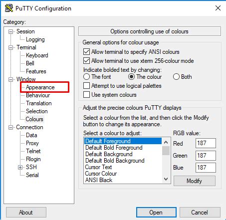 How To Change Putty S Appearance ServerCake