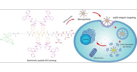 Mussel Derived Cancer Targeting Peptide As Ph Sensitive Prodrug