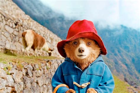 Wie Heißt Der Bär Von Paddington Nnigm