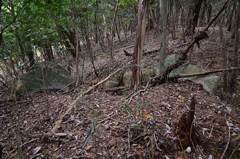 駒返古墳群A支群13号墳 古墳とかアレ 出張所