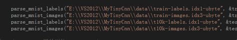 c 卷积神经网络实例：tiny cnn代码详解（2）——代码试运行 idx3 ubyte 数据如何生成的c csdn博客