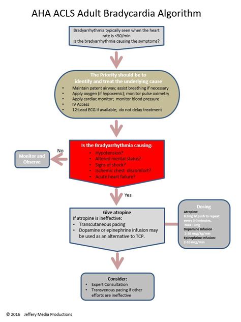 12 best acls images on pinterest cardiac nursing med school and