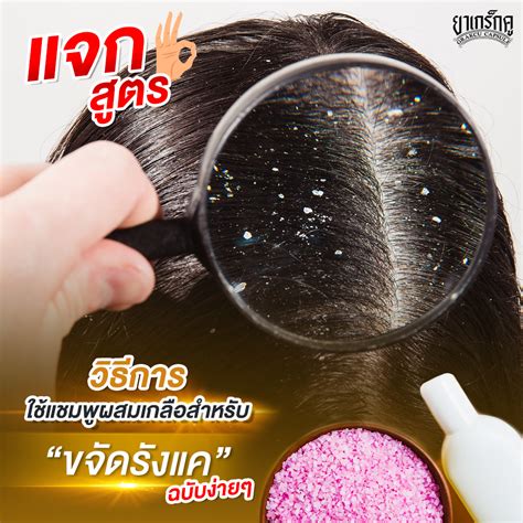 Grakcu Thailand 📢แจกสูตร 📢วิธีการ ใช้แชมพูผสมเกลือสำหรับ