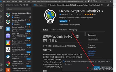 Vscode设置中文vscode Bug提示 显示中文 Csdn博客