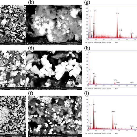 Sem And Edax Analysis Of Nise2rgo St A B And G Coseo3rgo St C D
