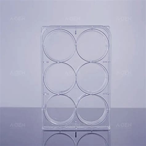 Disposable Lab Plastic Sterile Clear Bottom Microplate 6 Well Edge Cell