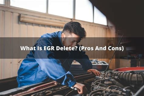 What Is Egr Delete Pros And Cons