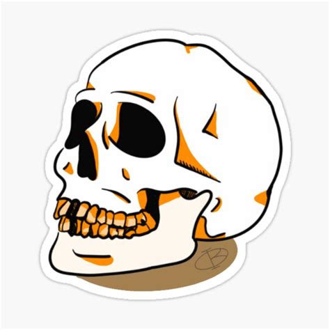 Detail Anatomie Reh Skelett Koleksi Nomer