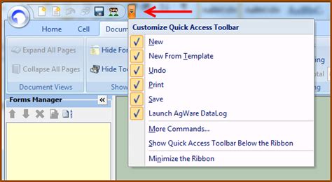 Quick Access Toolbar
