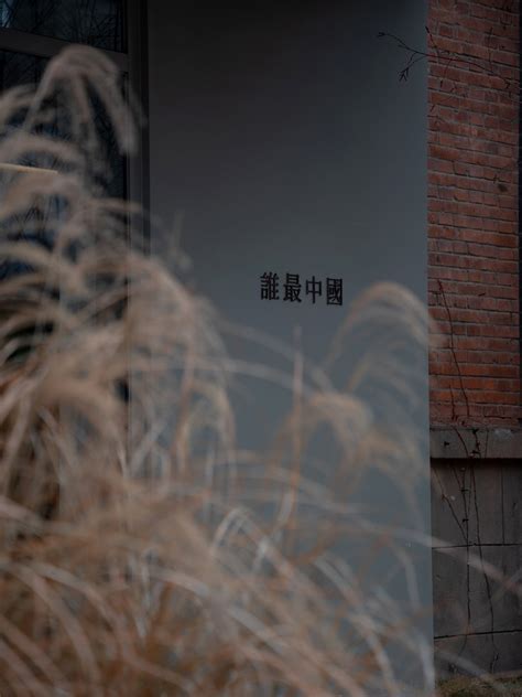 Shui Zui Zhong Guo By Cun Design By Design Aesthetics Architizer