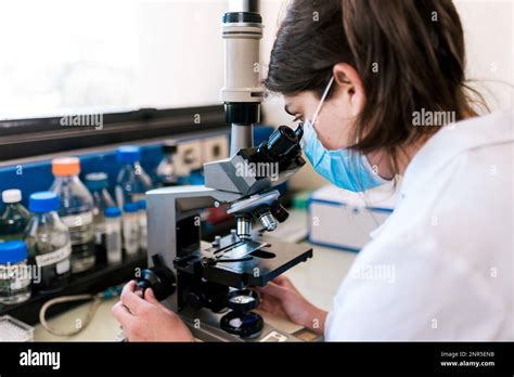 Female Scientist Using Microscopy In Laboratory Stock Photo Alamy