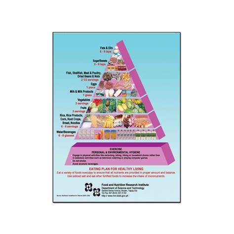 Myplate Food Pyramid Poster