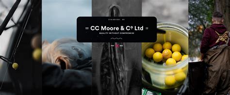 Underwater 🤿🐋 Des Superbes Images Captées Par Thierrybissonnier En Underwater Toujours