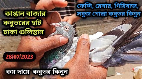 28 07 23 কাপ্তান বাজার কবুতরের হাট ঢাকা গুলিস্তান। Kaptan Bazar