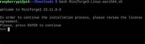 How To Use Anaconda On Your Raspberry Pi Miniforge Raspberrytips