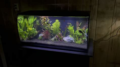 Picked up a new MegaFlex! What do y’all think of it? : r/MegaFlex