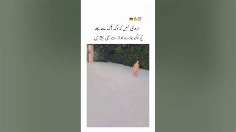Allhamdullah Youtube