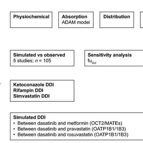 Pbpk Modeling Workflow Adam Advanced Dissolution Absorption And