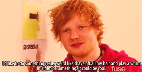 I Just Love Ed Sheeran Album On Imgur