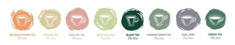Thé Tasse Main Dessiné Dessin Isolé Sur Blanc 21969596 Art Vectoriel