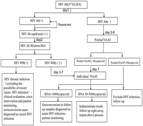 The Algorithm Of The Procedures Of The Msm Voluntary Counseling