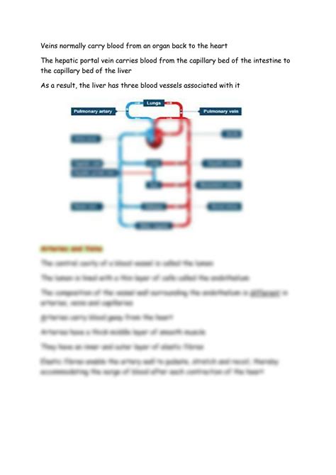 Solution The Cardiovascular System Notes Studypool