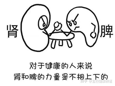 脾虚多思虑，肾虚多欲望！整天胡思乱想的人，可能身体都不会太好