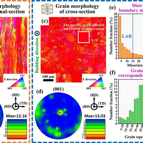 Grain Structure Of The Deposit A Ipf Z Colored Orientation Map Of