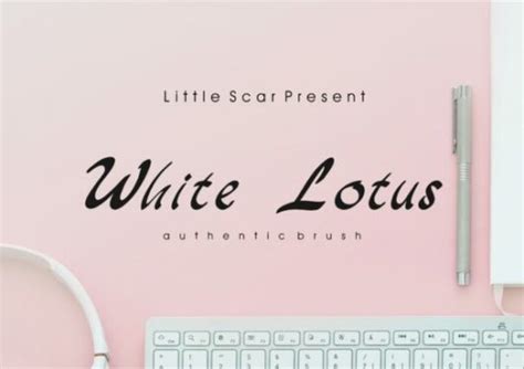 White Lotus Font Font Canyon