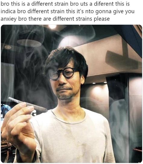 Bro This Is A Different Stranding Bro Please Bro Just Try It Know