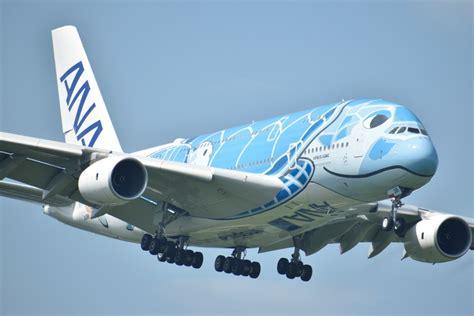 全日空 Airbus A380 Ja381a 成田国際空港 航空フォト By Ntomoさん 撮影2019年07月28日