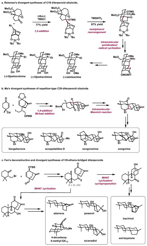 Deconstructive And Divergent Synthesis Of Bioactive Natural Products