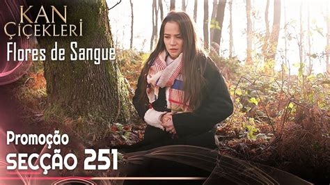 Flores de Sangue Kan Cicekleri Secção 251 en Portuguese Promoção