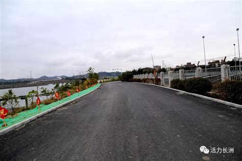紧盯痛点难点堵点发力 苦干实干巧干全力助推乡村振兴∣卢新华、陈捷到泗洲村调研推进乡村振兴工作 搜狐大视野 搜狐新闻