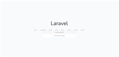 Laravel Vue Js