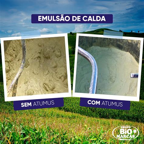 Bio Atumus É Simples Com O Atumus Tander Gold Star A Facebook