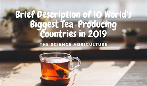 10 Maiores Países Produtores De Chá Do Mundo A Agricultura Científica