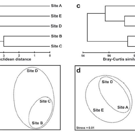 Cluster Analysis And Multidimensional Scaling Mds Ordinations For