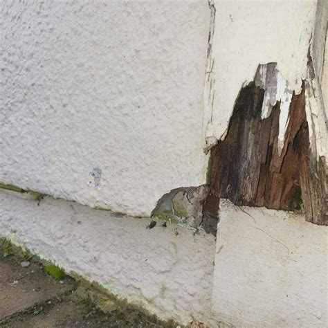 Experts In Residential And Commercial Asbestos Cladding Removal